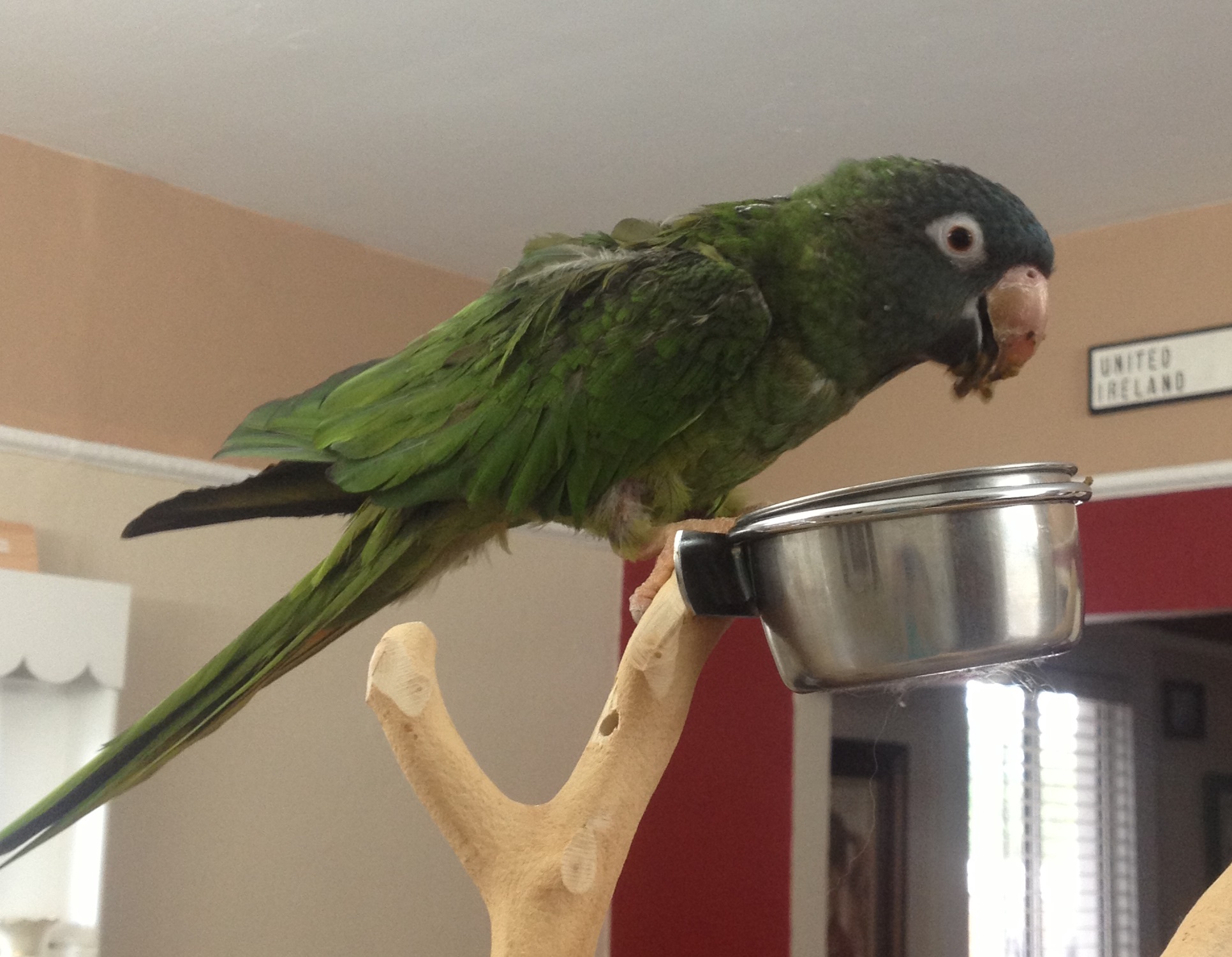 July 2013 Newsletter