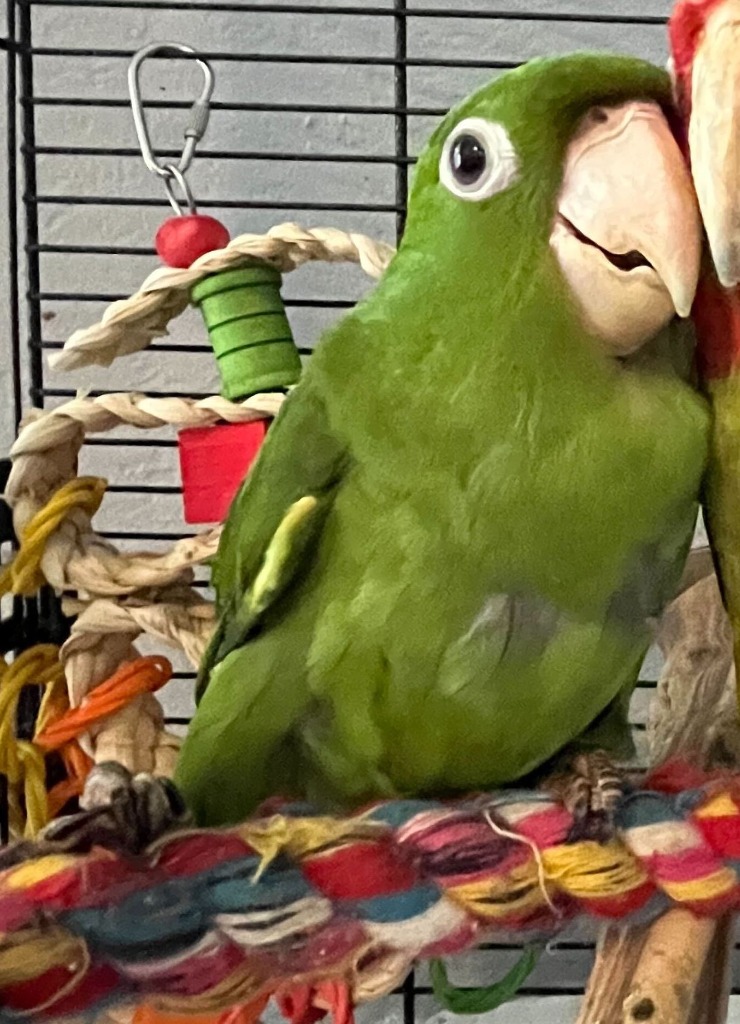 Tingley (and Nicola) | Mickaboo